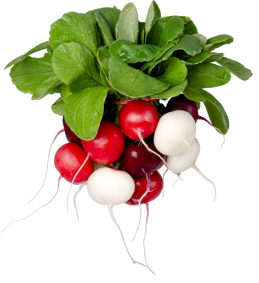 Producteur de radis, tomates et pleurotes du Québec | Serres Leciel