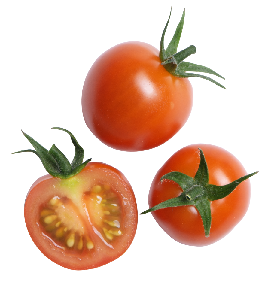 Producteur de radis, tomates et pleurotes du Québec | Serres Leciel